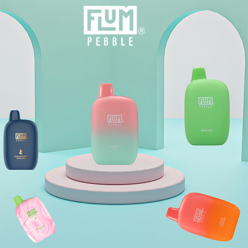 Flum Pebble 6000 Puffs Best Sales Wholesale Disposable Vape - VapePuffs